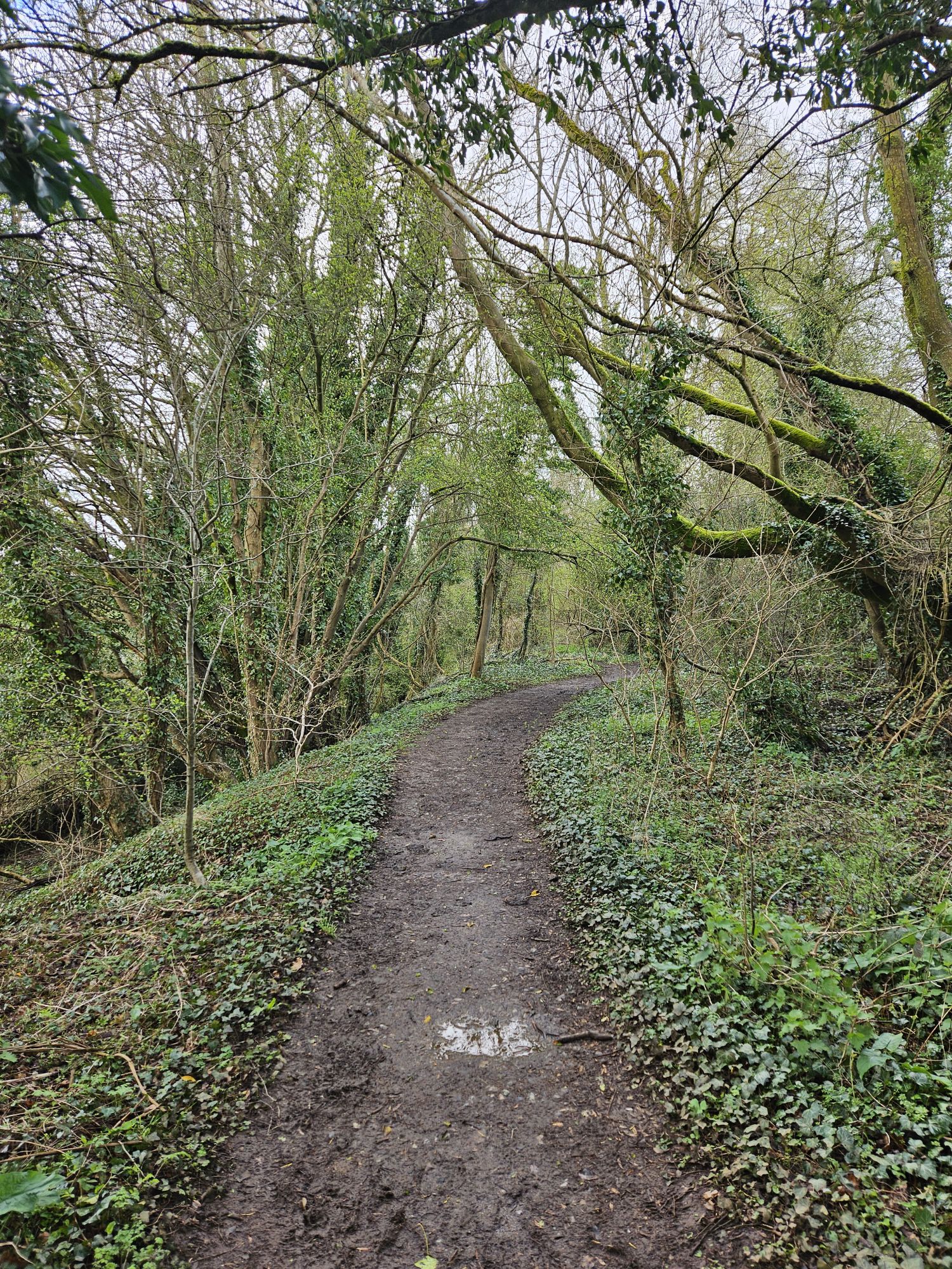 Bourton-on-the-Water to The Slaughters Circular Walk – Cotswold Little ...