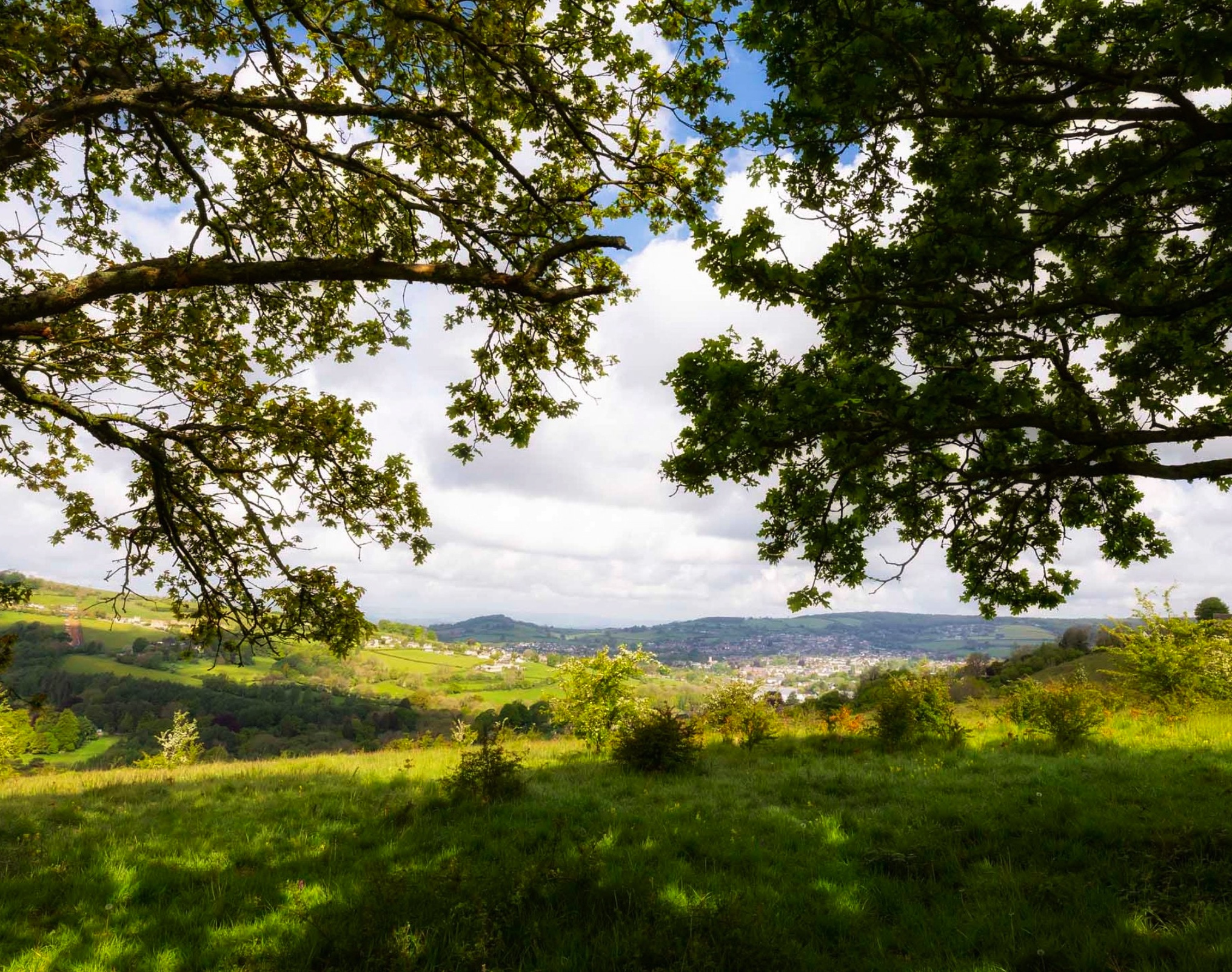Rodborough Common Woodland Walk – Cotswold Little Explorers
